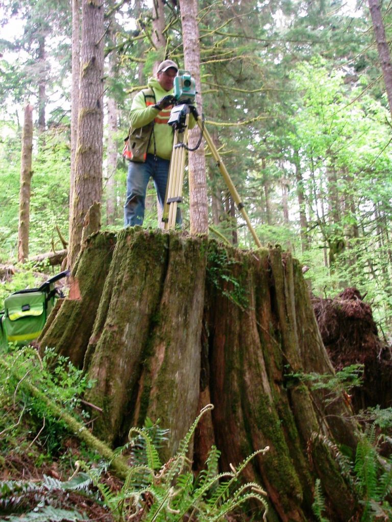 Timber Harvest Boundary Surveys | Northwest Surveying & GPS, Inc.